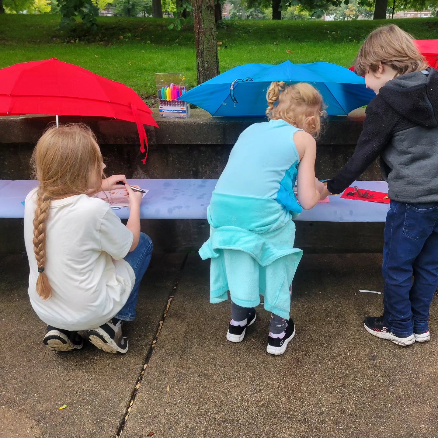 Events – Fiona Cook